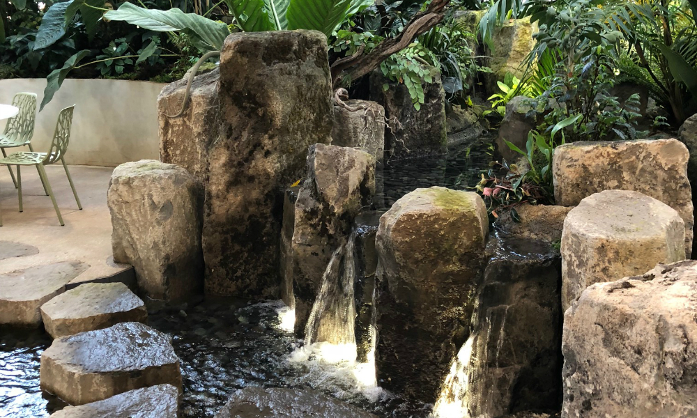 Amazon Spheres: Your Guide to How to Get Inside and What to See