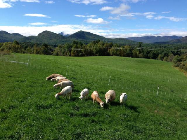 Farms You Can Stay at with Your Family - Tinybeans