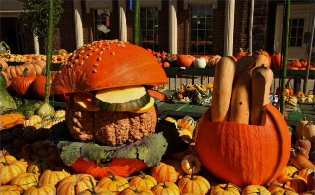 Fun Fall Festivals Across the Country