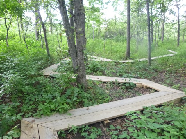 Amazing Unstructured Playgrounds