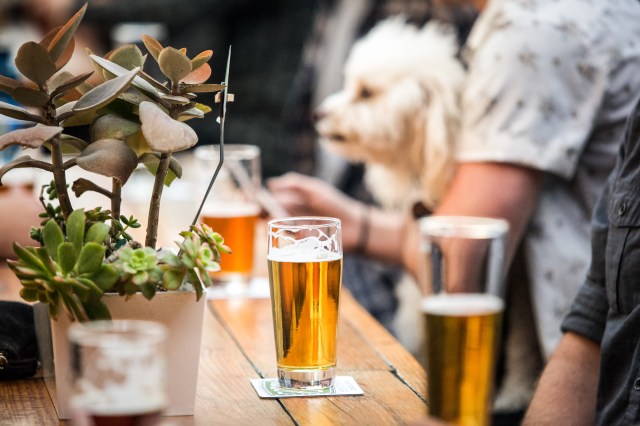 Kid-Friendly San Diego Breweries & Outdoor Breweries with Food