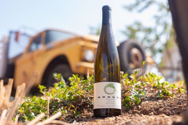 Family-Friendly Oregon Wineries & Wine Tasting Tour with Portland Kids