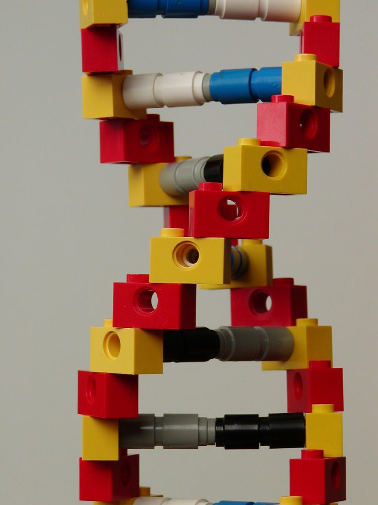 How to Explain DNA to Kids by Building a DNA Model at Home