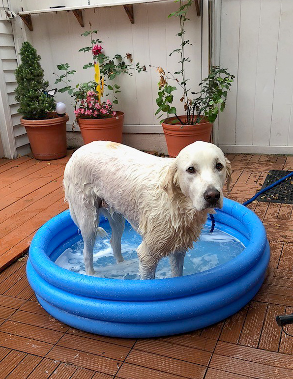 13 Fun Uses for a Kiddie Pool