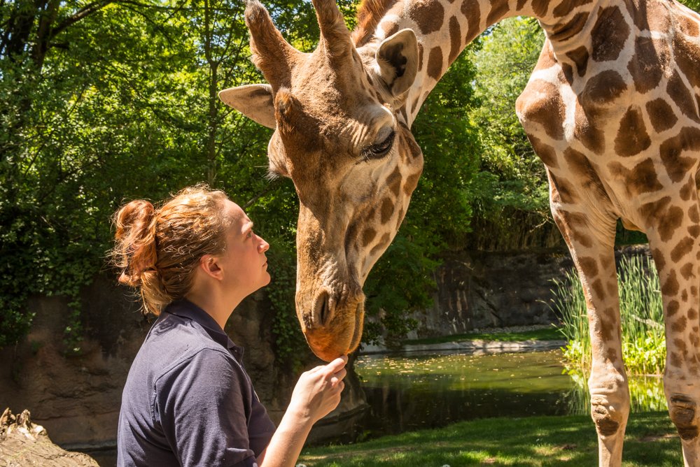The Ultimate Family Guide to the Oregon Zoo