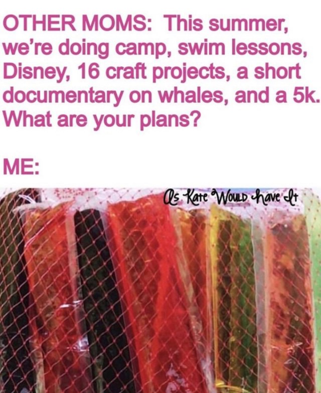 Funny Memes About Summer with Kids