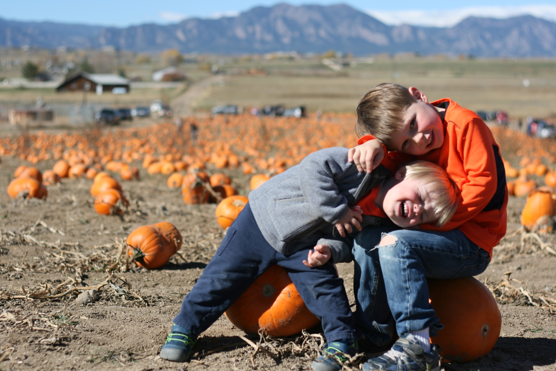 Fun Fall Things to Do with Kids Near Me