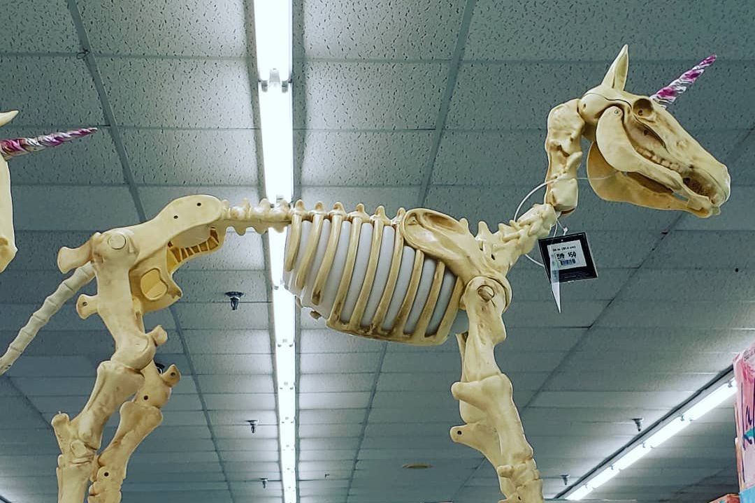 Big Lots Has Unicorn Skeletons & Halloween Just Got More Magical ...