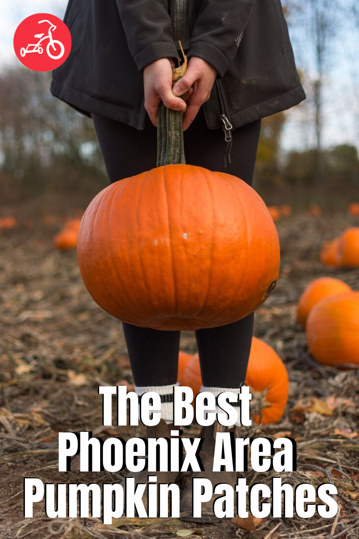 Phoenix Pumpkin Patches for Kids | October 2021