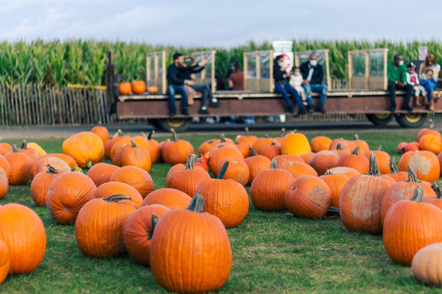 Fun Fall Festivals Across the Country