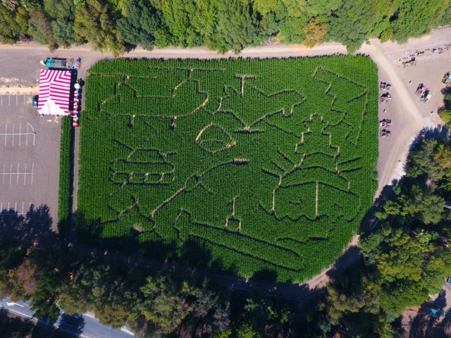 The Best Corn Mazes in Los Angeles