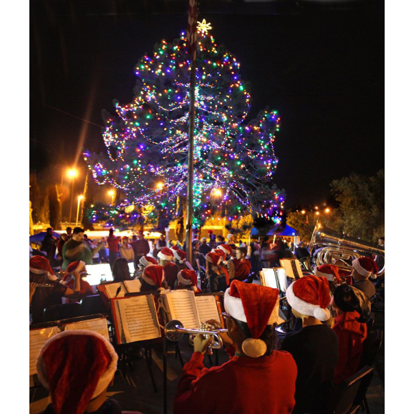 Festive Christmas Tree Lighting Ceremonies That Shine