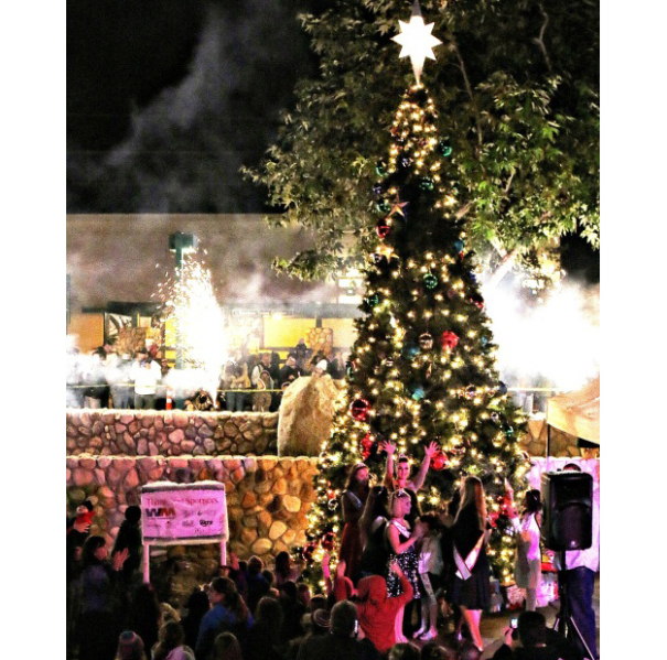 Festive Christmas Tree Lighting Ceremonies That Shine