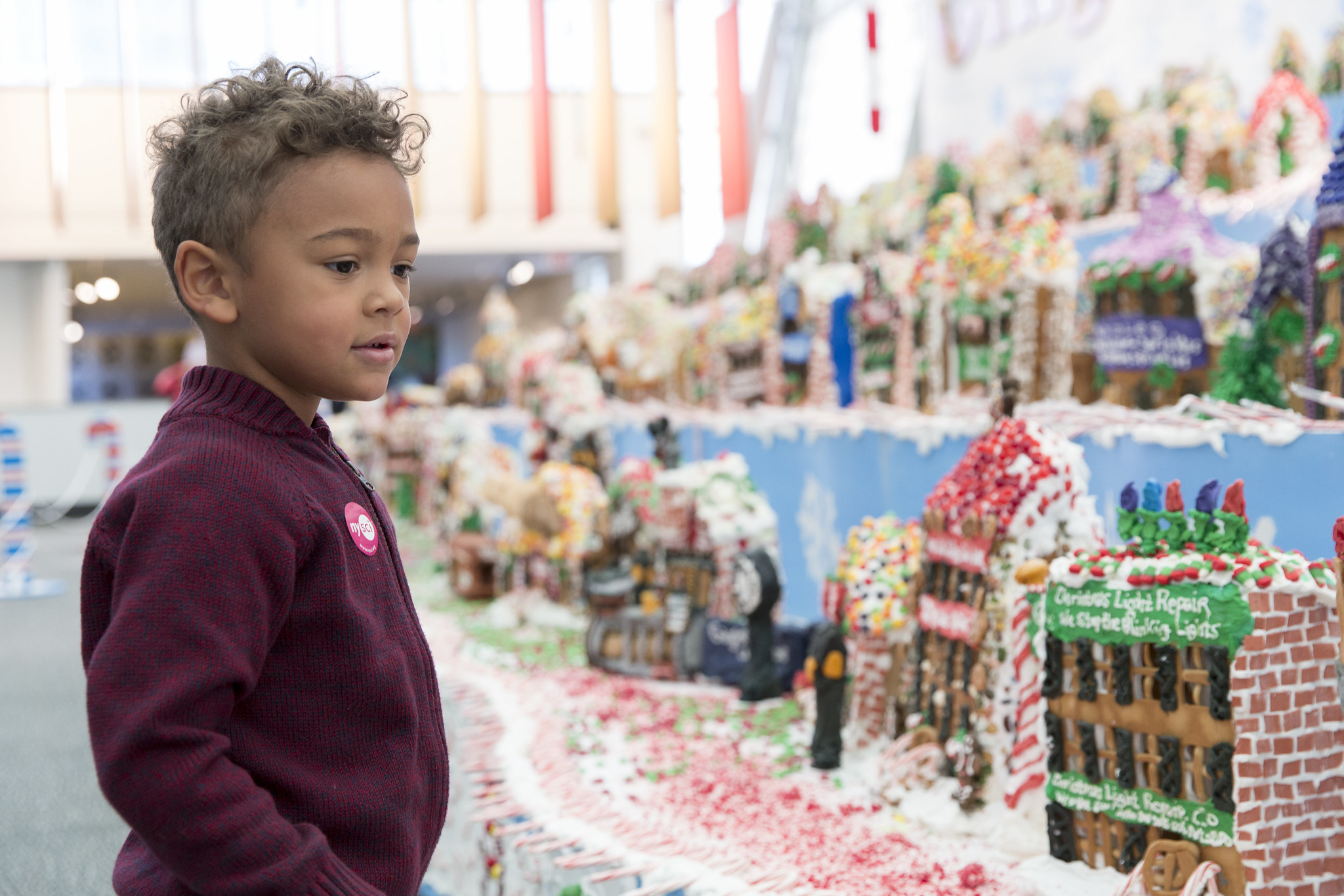 Gingerbread House Decorating Class Dallas | Shelly Lighting