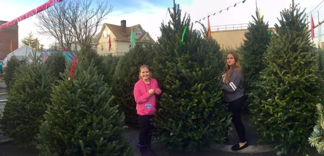 Christmas Tree Delivery Services in NYC