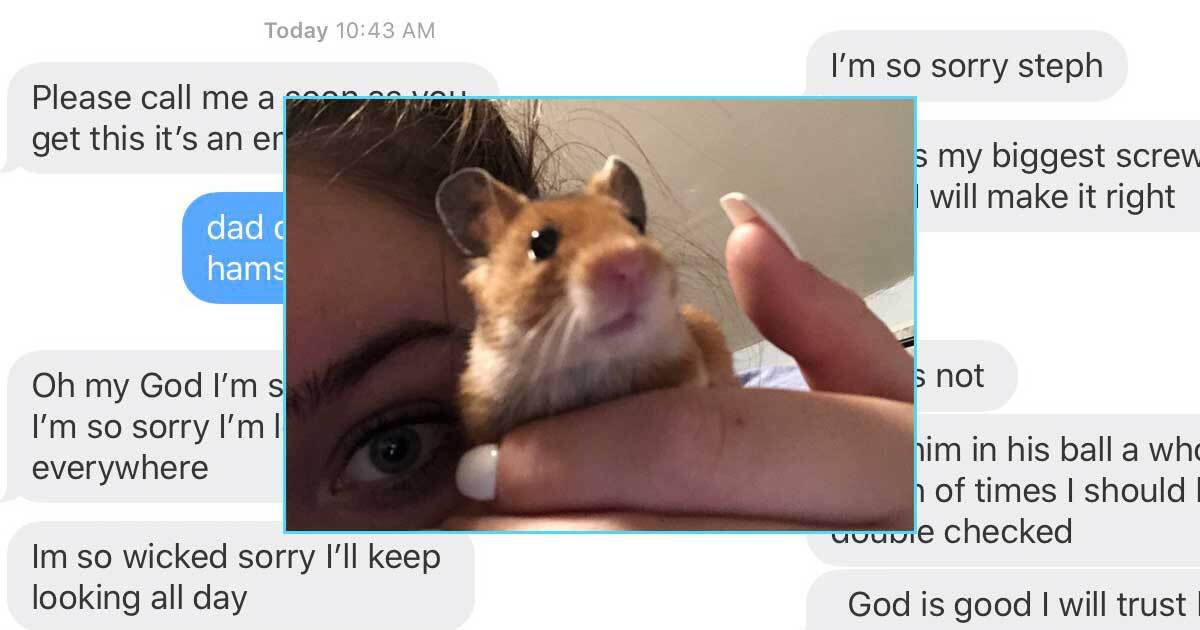 This Dad's Texts Went Viral after a Hamster-Related Meltdown - Tinybeans