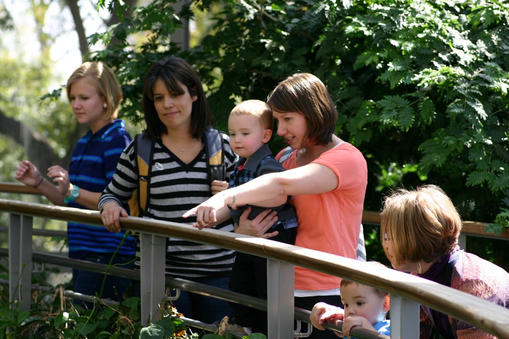 Things to Do with Kids in Dallas, Texas during Spring Break | 2020