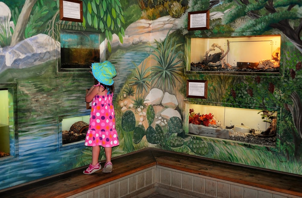 Best Museums for Kids & Families in Austin, Texas