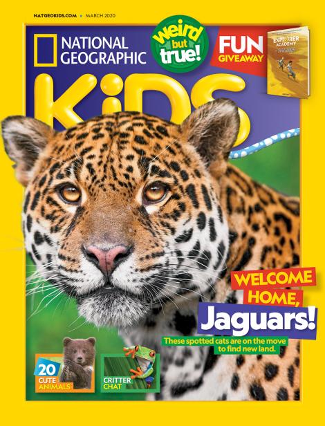 The Best Magazines for Kids