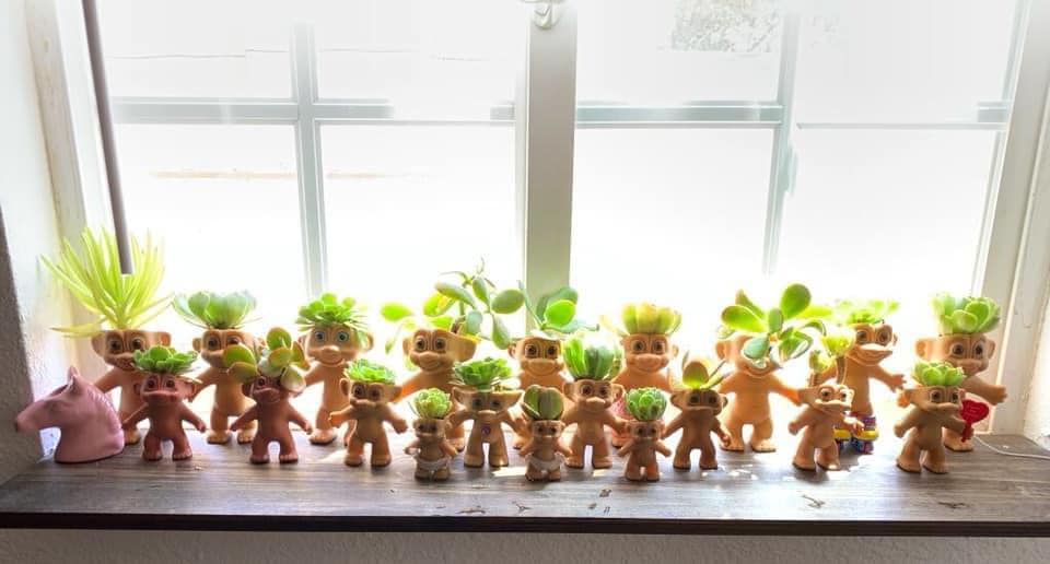 These Trolls Succulents Are Gardening Goals - Tinybeans
