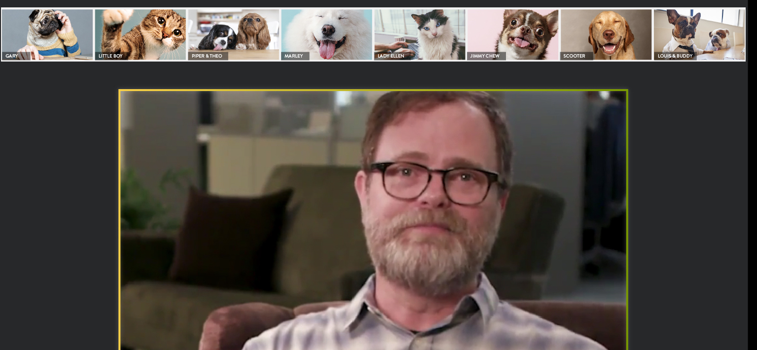 Rainn Wilson Is Hosting a Zoom Meeting––For Your Pets