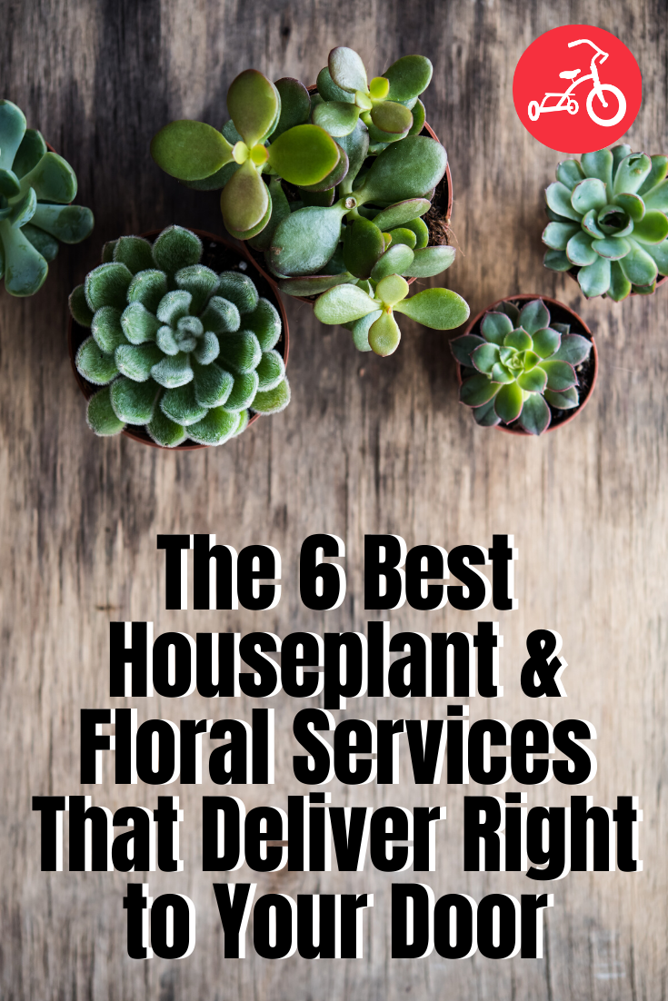 12 Best Valentine's Day and Plant Delivery Services