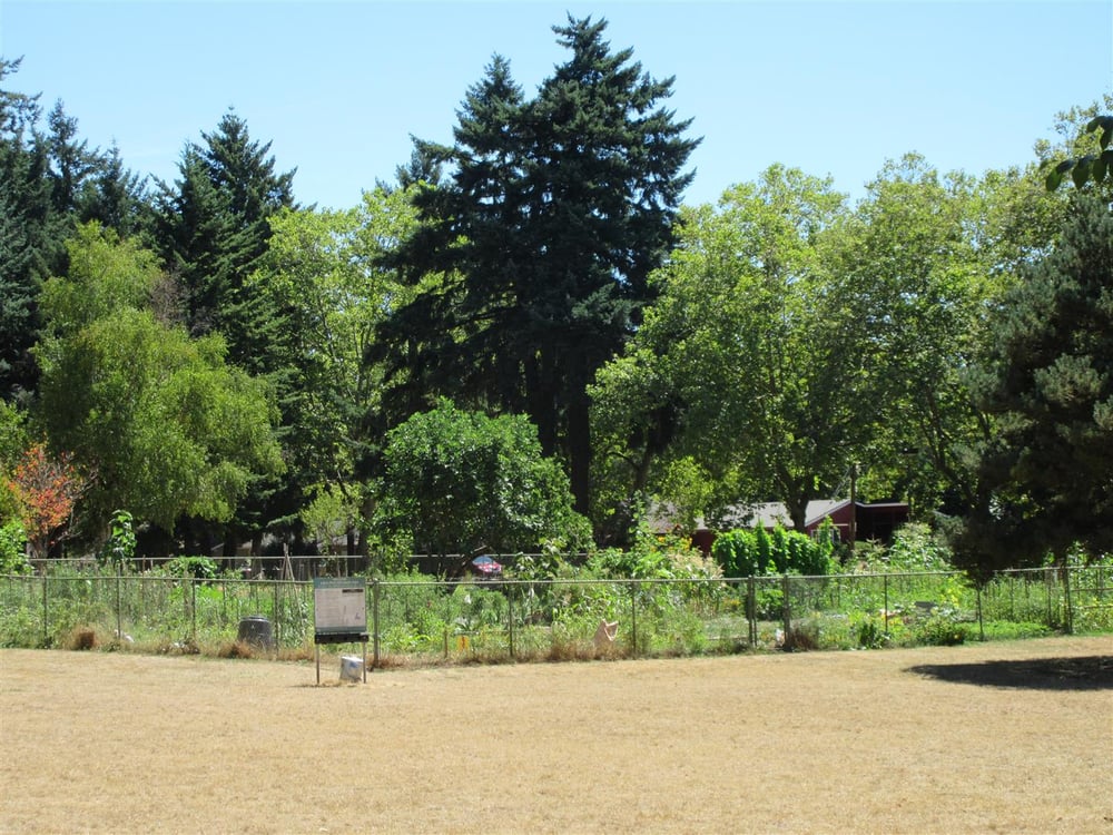 Dog Parks Open Now in Portland, OR | 2020