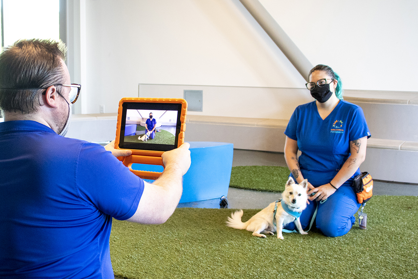 Online Field Trips to Annenberg PetSpace - Tinybeans