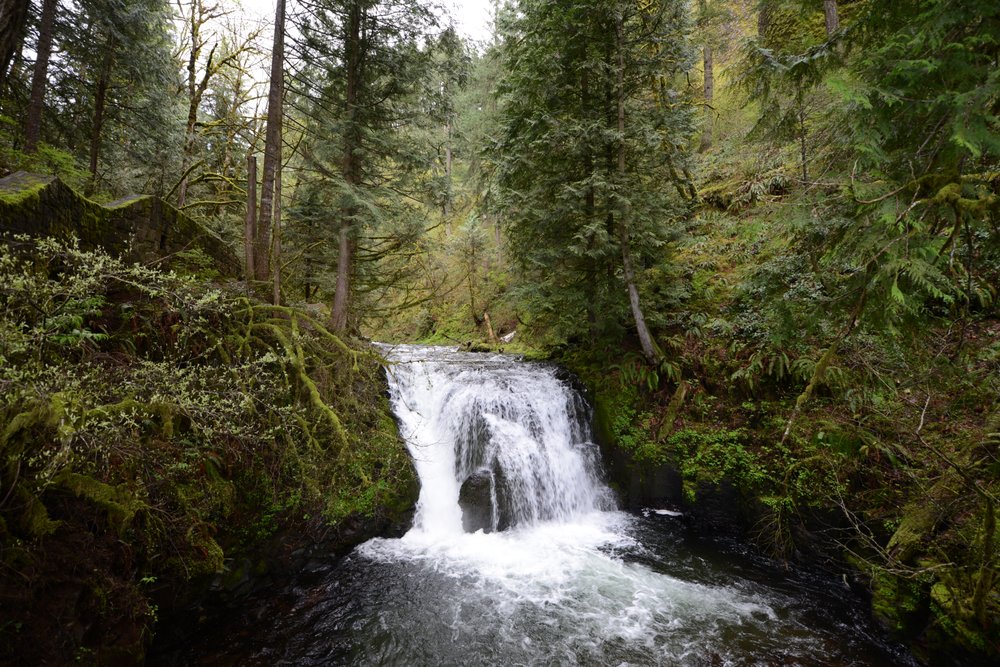 Easy Waterfall Hikes in Portland, OR