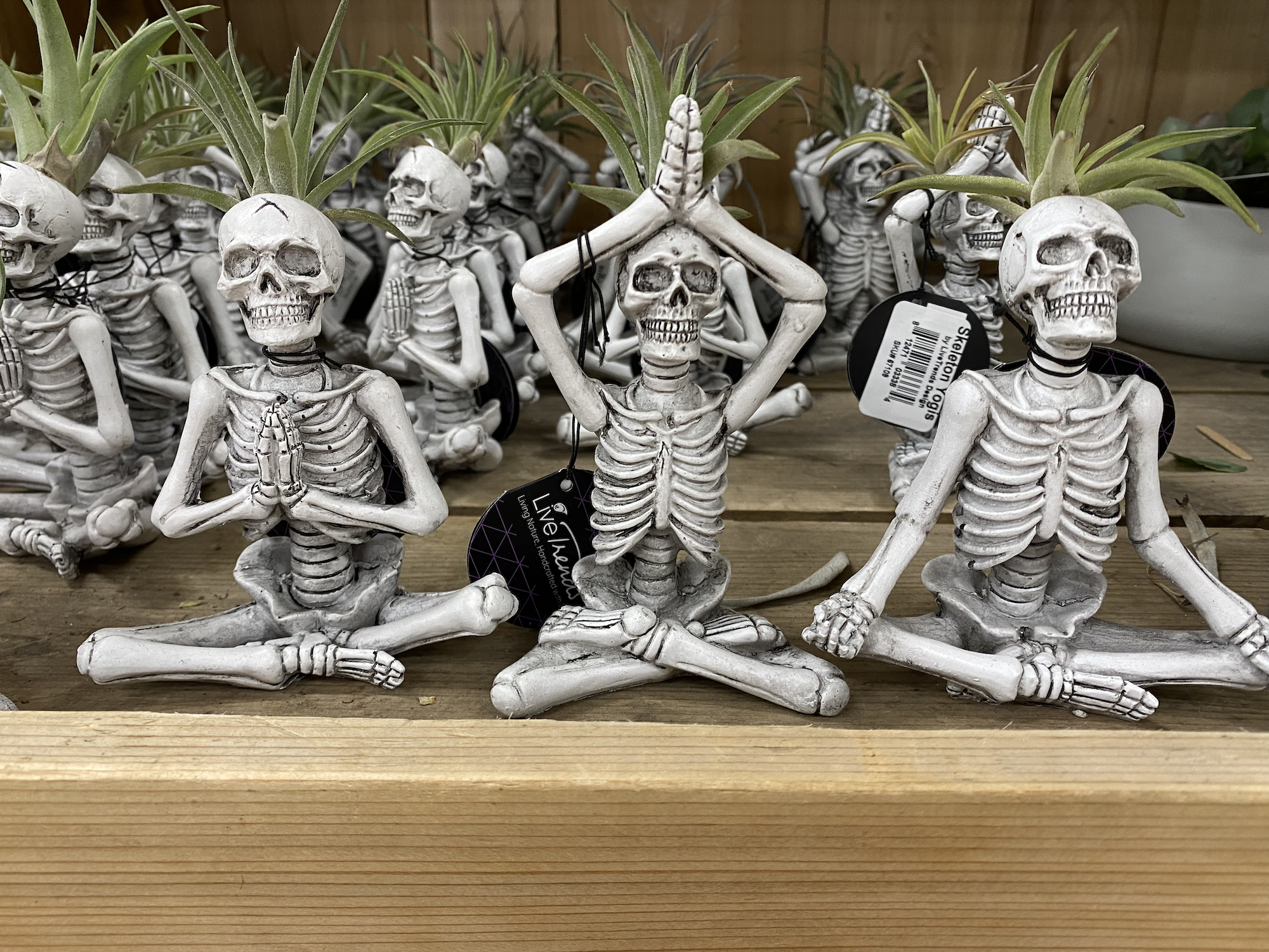 Trader Joe's Halloween Yoga Skeletons Have Already Been Spotted in Stores
