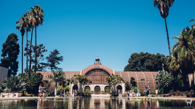 11 San Diego Zoom Backgrounds for Distance Learning