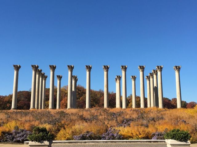 Things to Do with Kids in Washington, DC