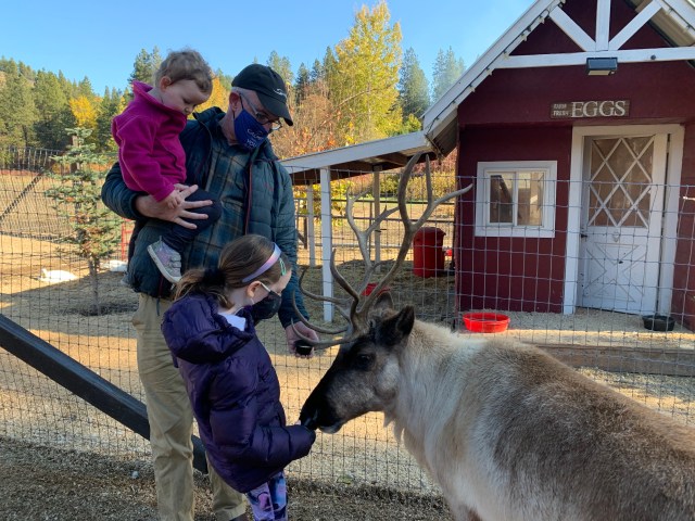 Your Guide to the Leavenworth Reindeer Farm