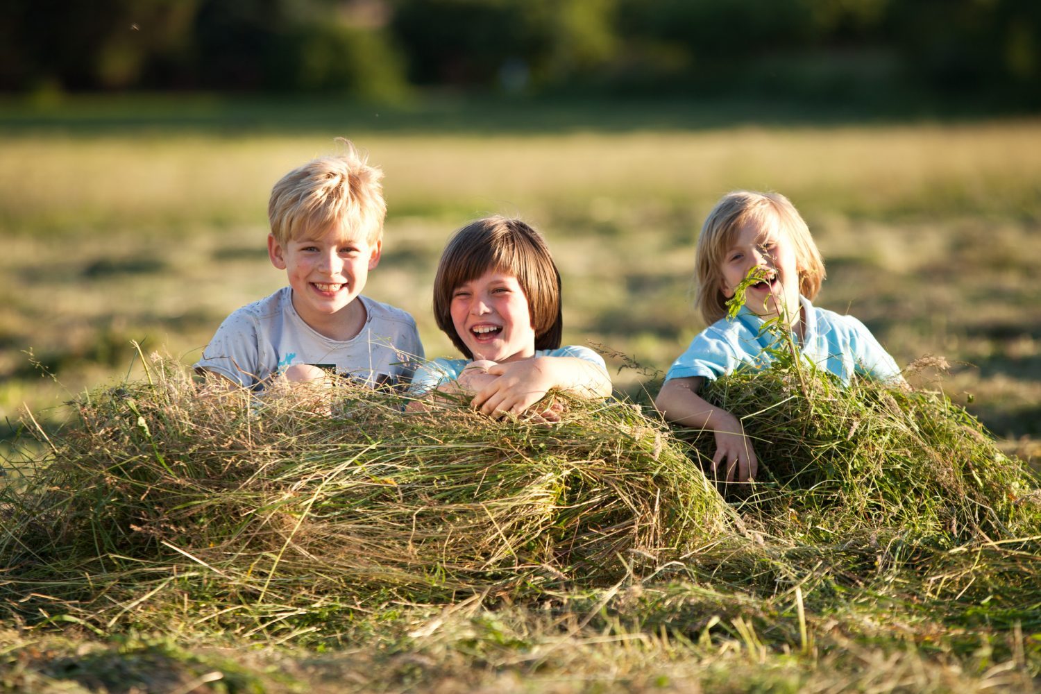 21 Fun Farm Games for Kids