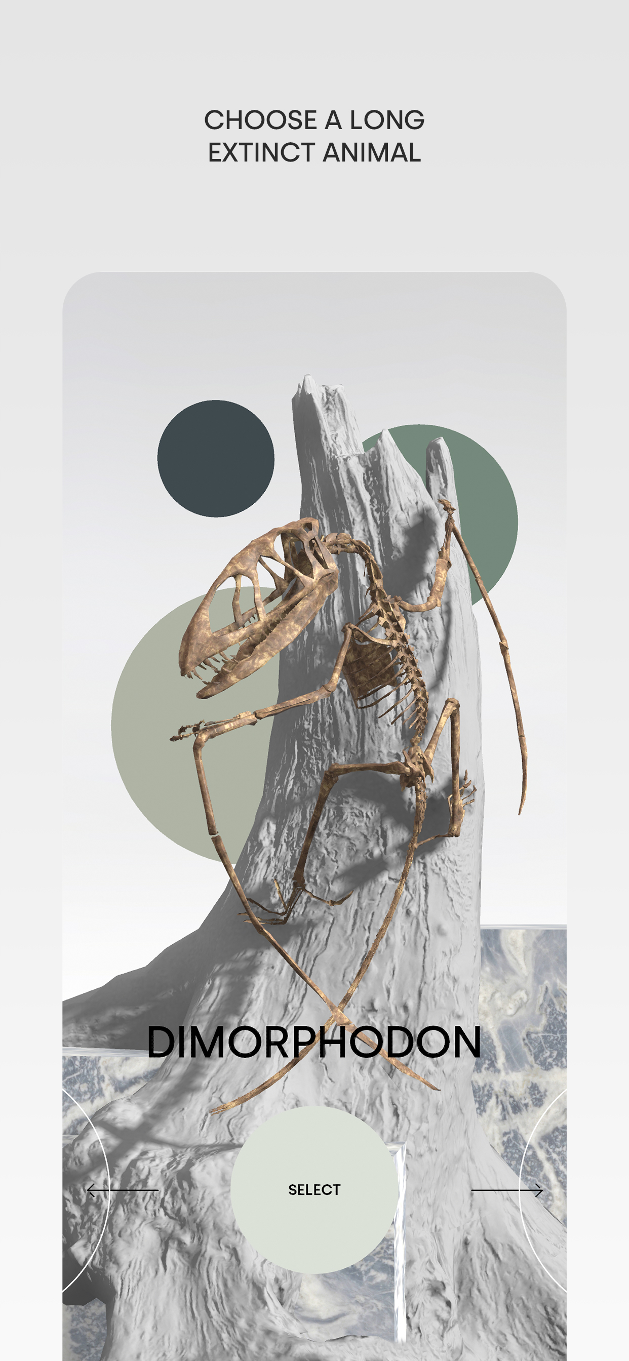 Meet Prehistoric Creatures in Your Living Room with This New App ...