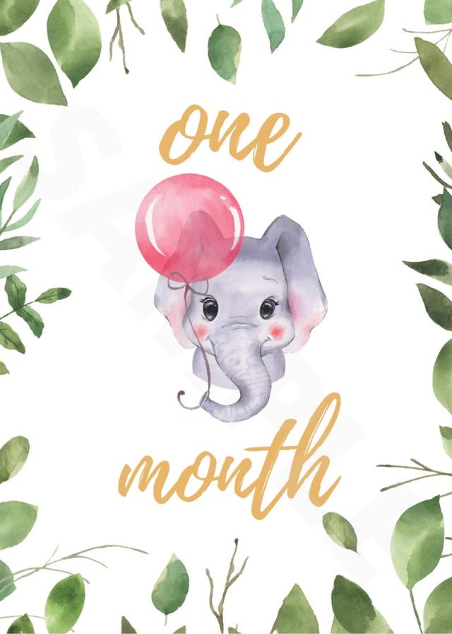 13 Creative Ideas for Monthly Baby Milestone Photos