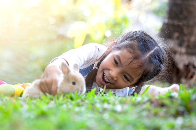The Absolute Best Animal Encounters in LA - Tinybeans