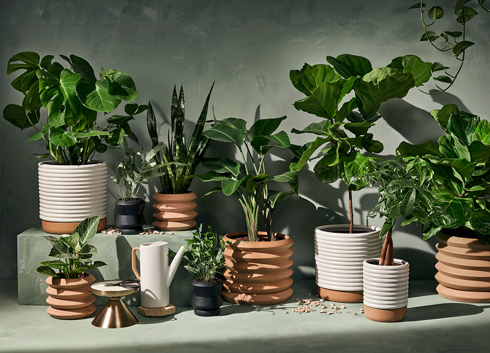 Target's New Line Will Make You Totally Wet Your Plants - Tinybeans