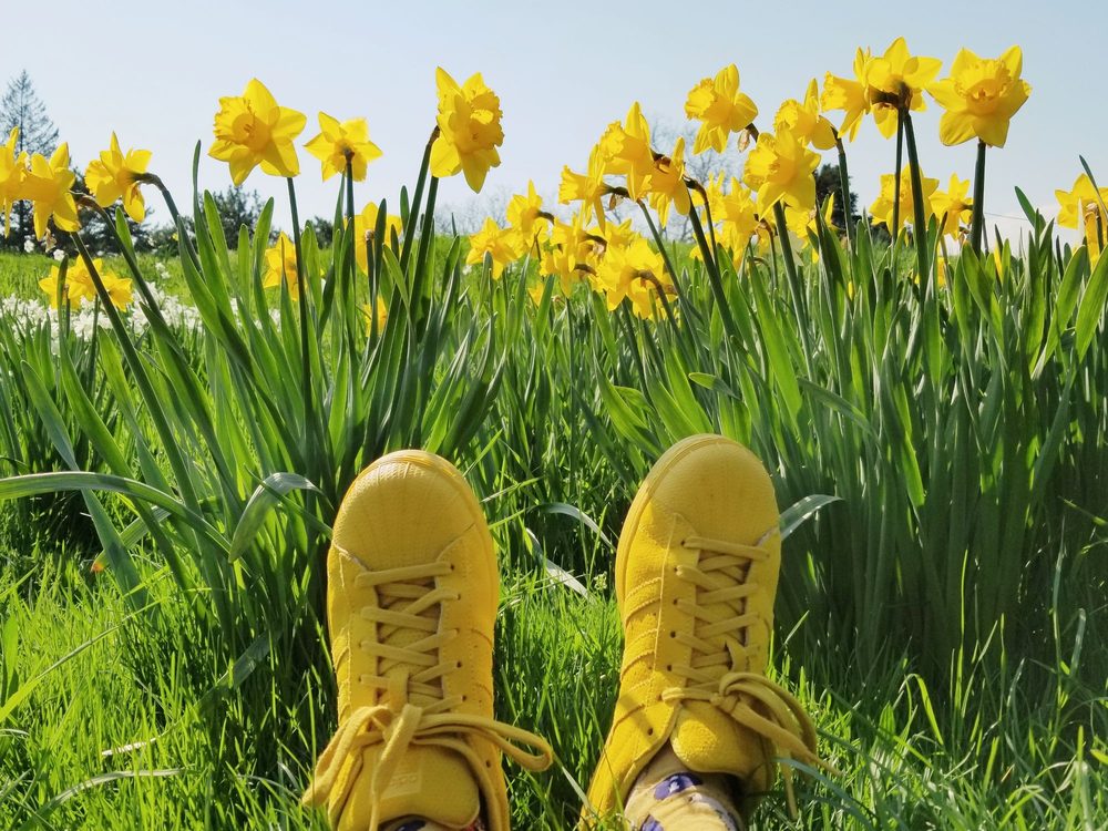 NYC Spring Flowers Near Me: Botanical Gardens & Parks with Kids Spring 2022
