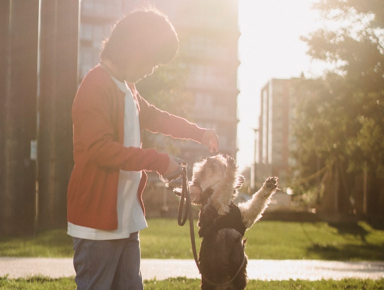 New Study Shows How Therapy Dogs Impact Kids' Social Skills - Tinybeans