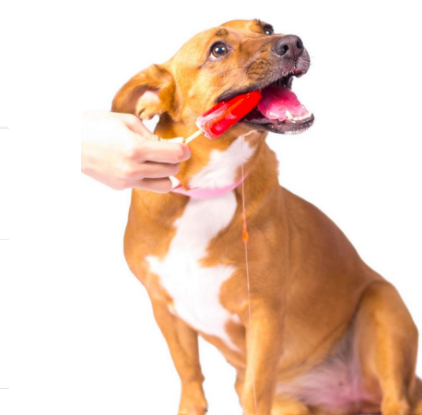 Pupsicles are a Thing & Here's How to Make Them! - Tinybeans