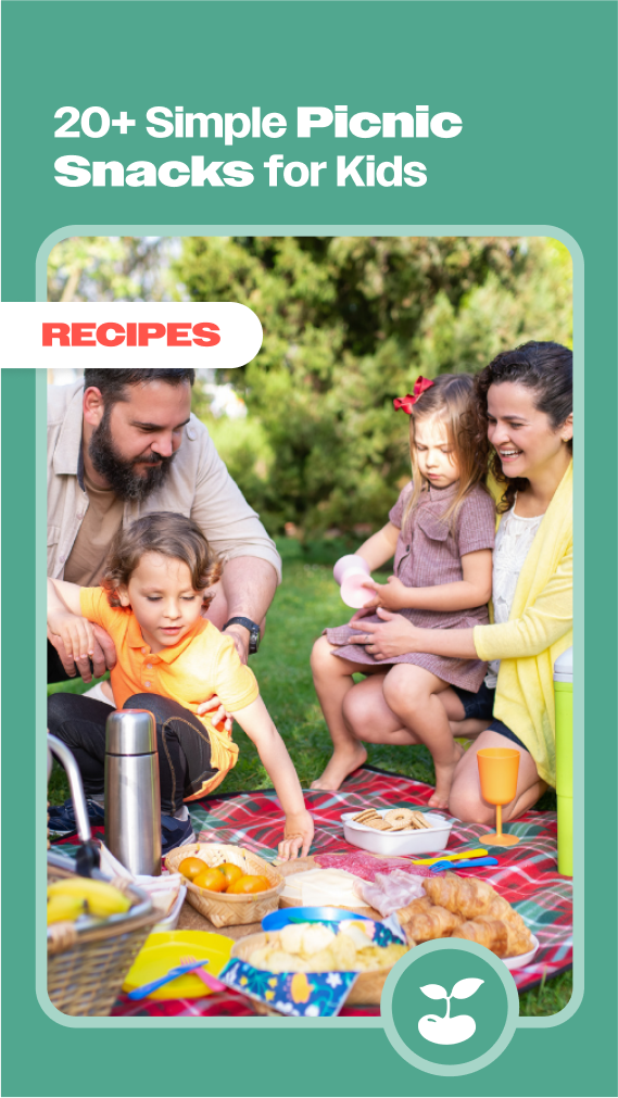 Easy Picnic Foods for Kids