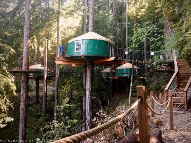 Ziplining & Treetop Rope Courses for Families in Northern California