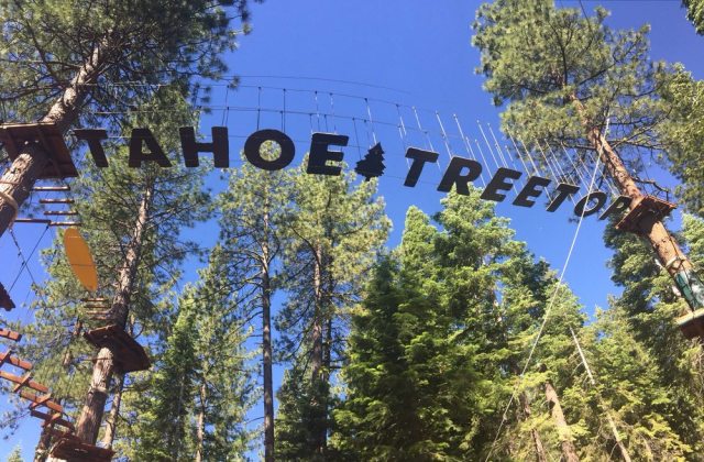 Ziplining & Treetop Rope Courses for Families in Northern California