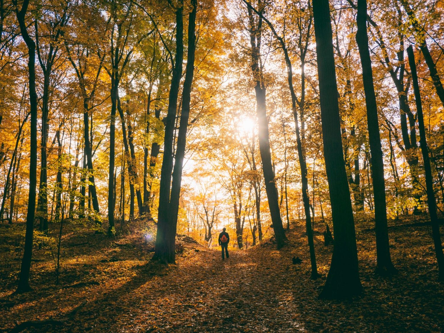Awesome Autumn Hikes in the Bay Area