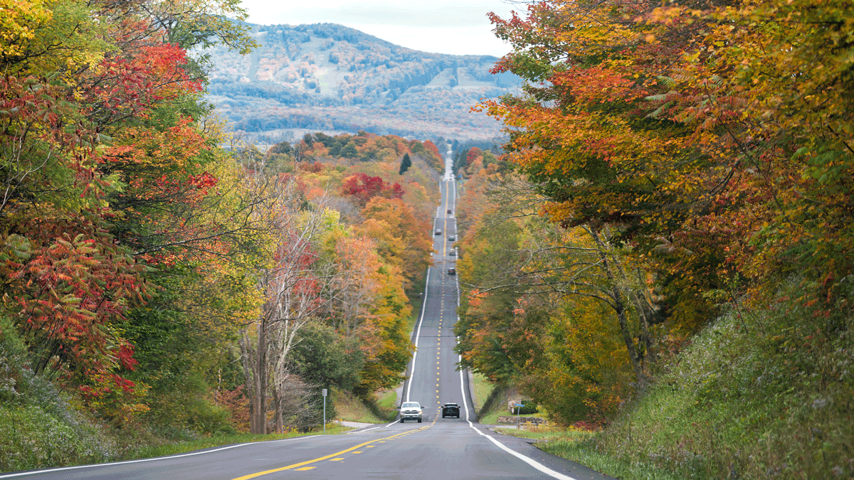 Best Places to See Fall Colors in the US - Tinybeans