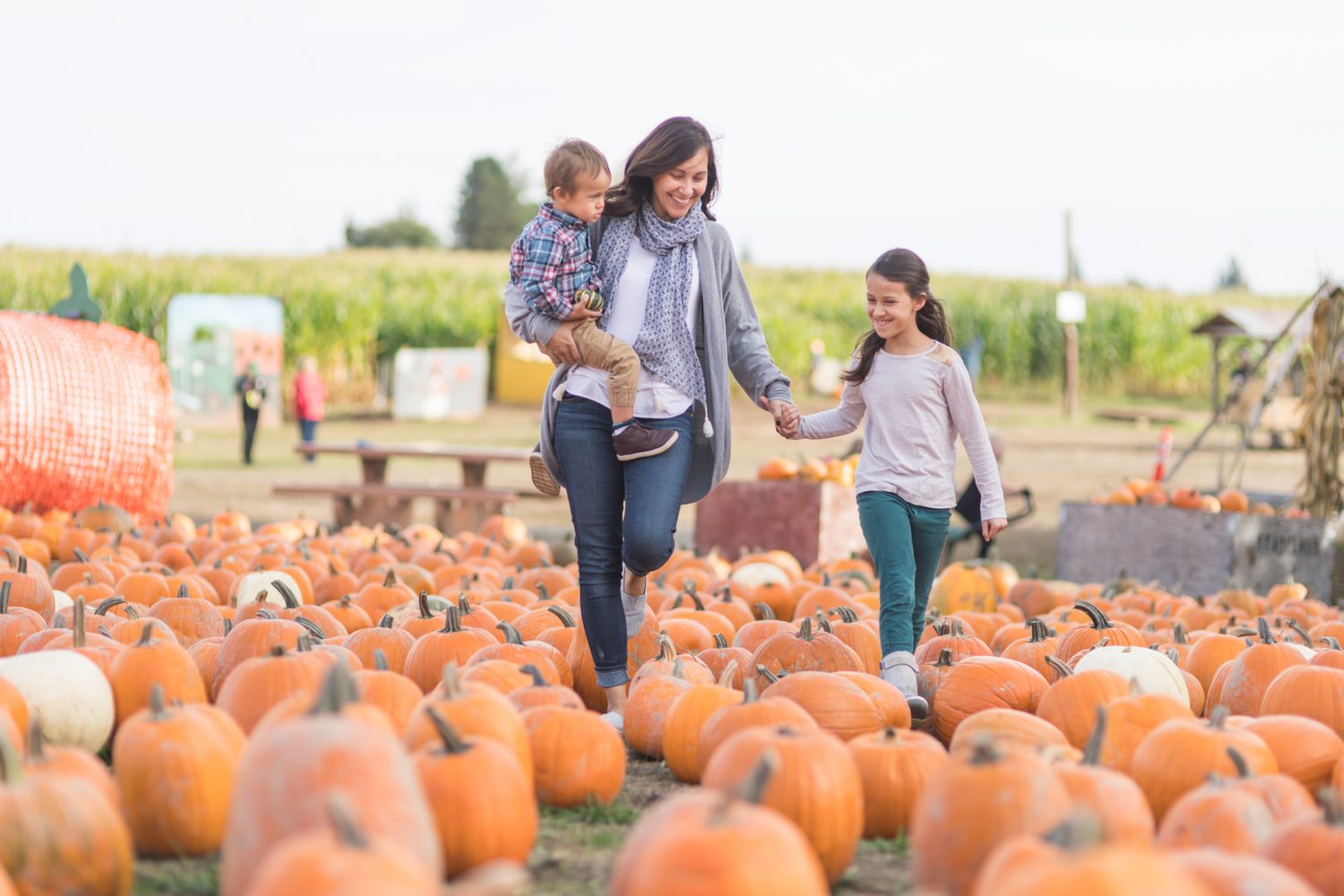 The Best Pumpkin Patches Near Seattle, WA | 2021