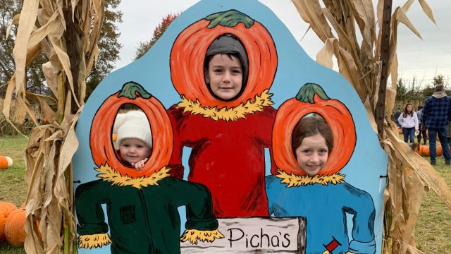 The Best Pumpkin Patches near Seattle, WA | 2022