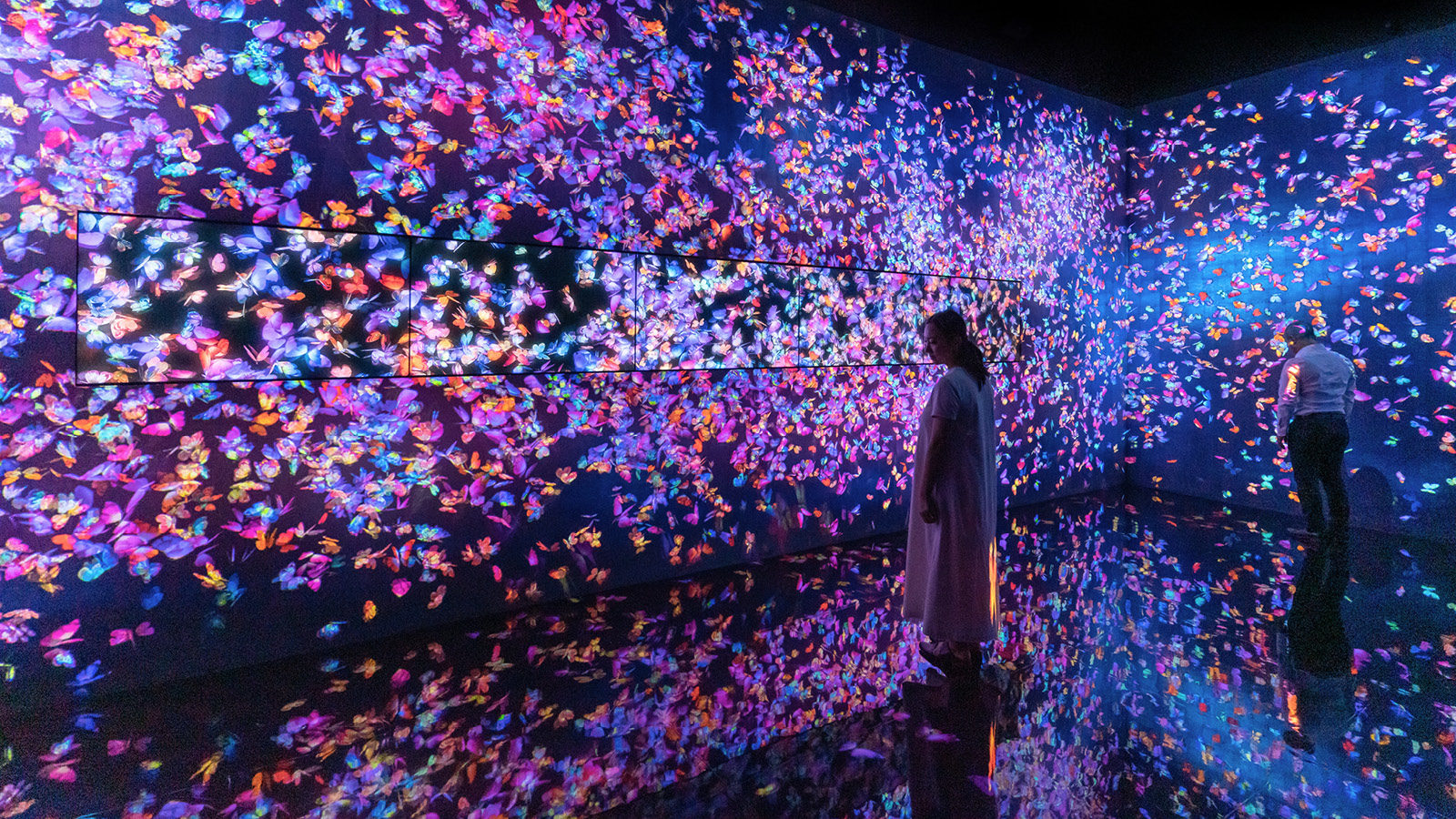 teamLab: Continuity Winter Tickets - Tinybeans