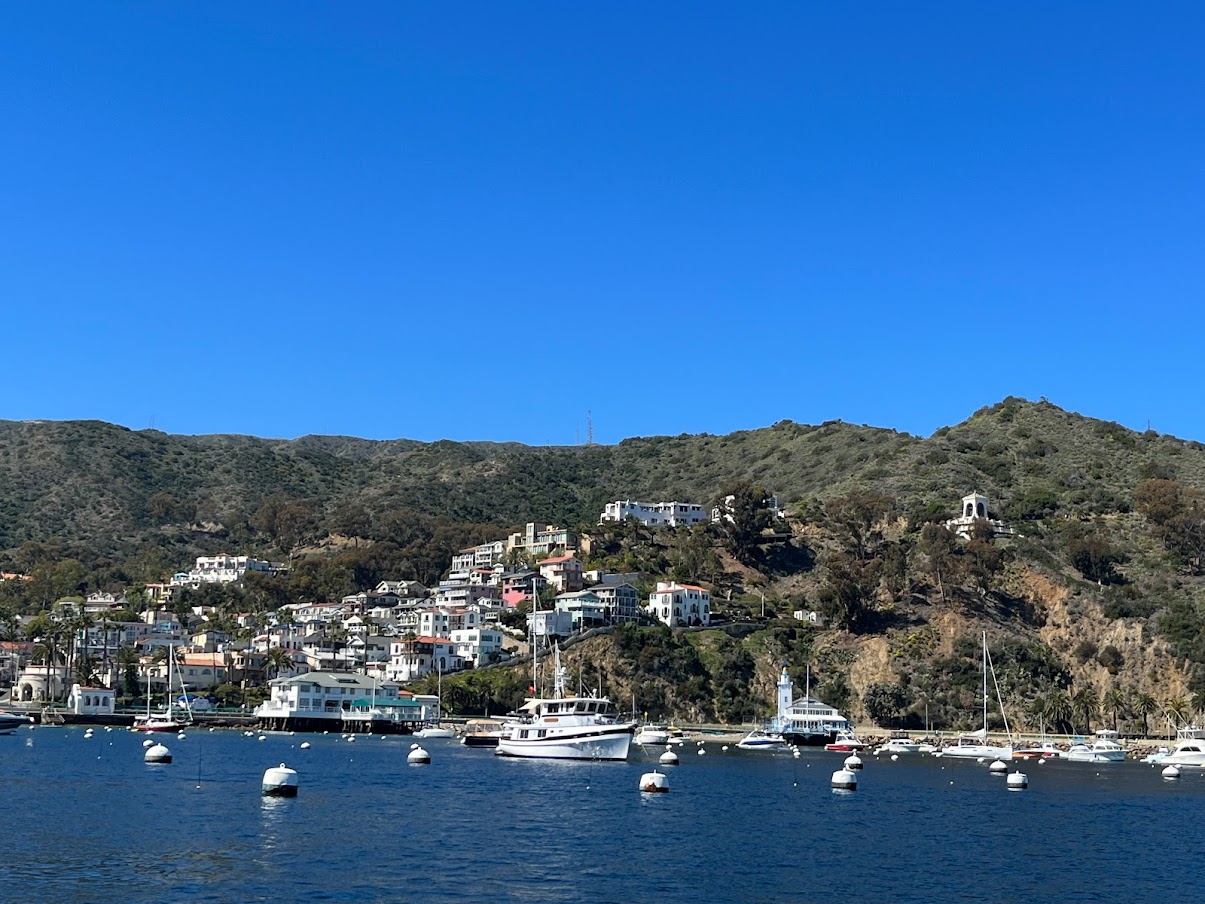 The Best Things to Do in Catalina with Kids | 2022
